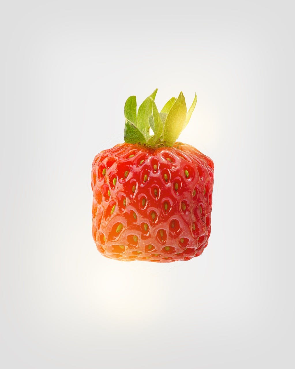 Sam Altman e il misterioso “Strawberry Project” | by YOUTHQUAKE | Medium