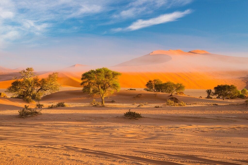 Namibia: Natural, Raw, & Vibrant. Nestled on the southwestern coast ...