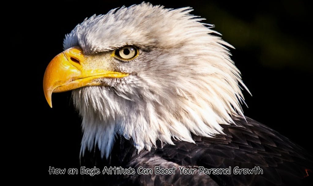 How an Eagle Attitude Can Boost Your Personal Growth | by Jan Nilsson ...