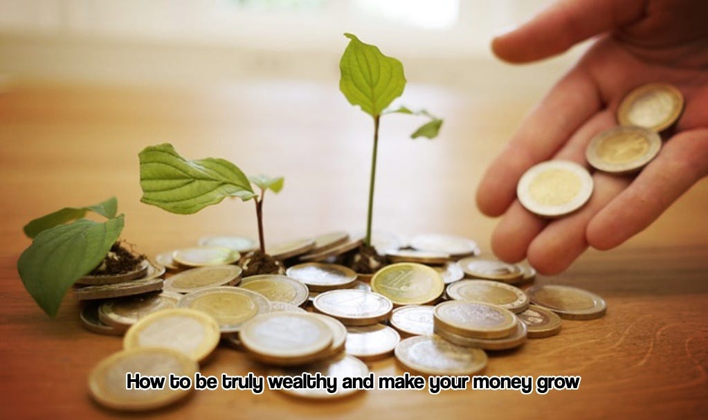 How to be truly wealthy and make your money grow | by Jan Nilsson | Medium
