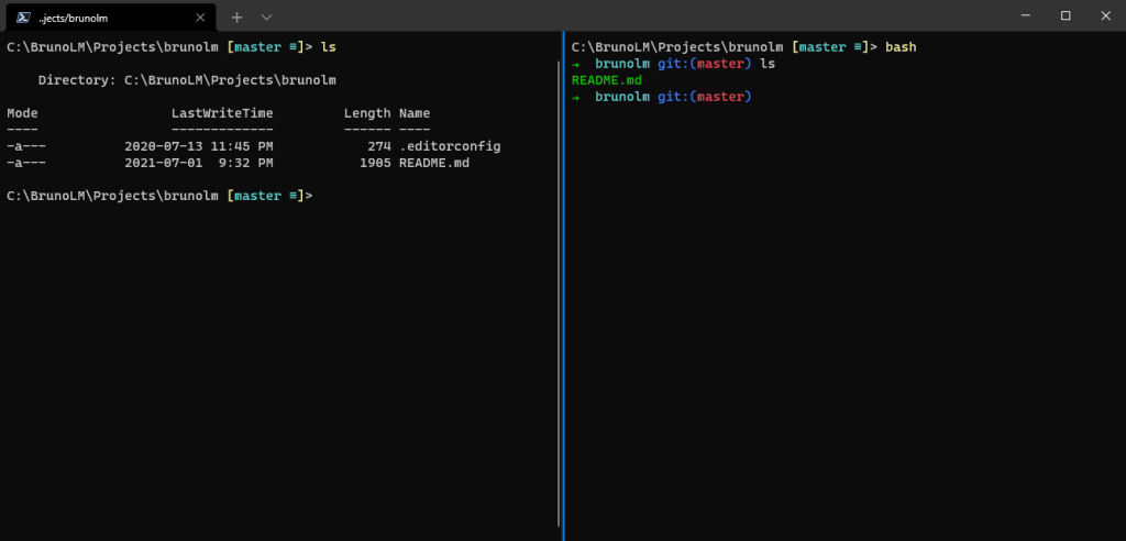 Why is Windows 11 good for development? | by Bruno Leonardo Michels ...