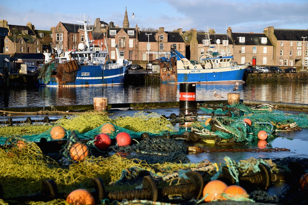 Ellon’s Fish Shop | by bendifa | Medium