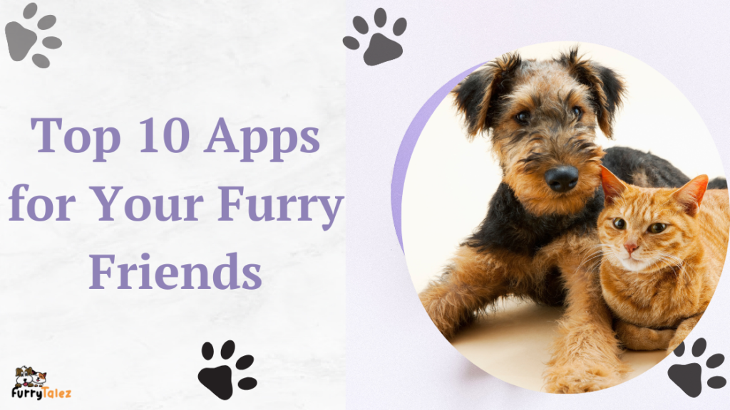Top 10 Apps for Your Furry Friends - Sangam - Medium