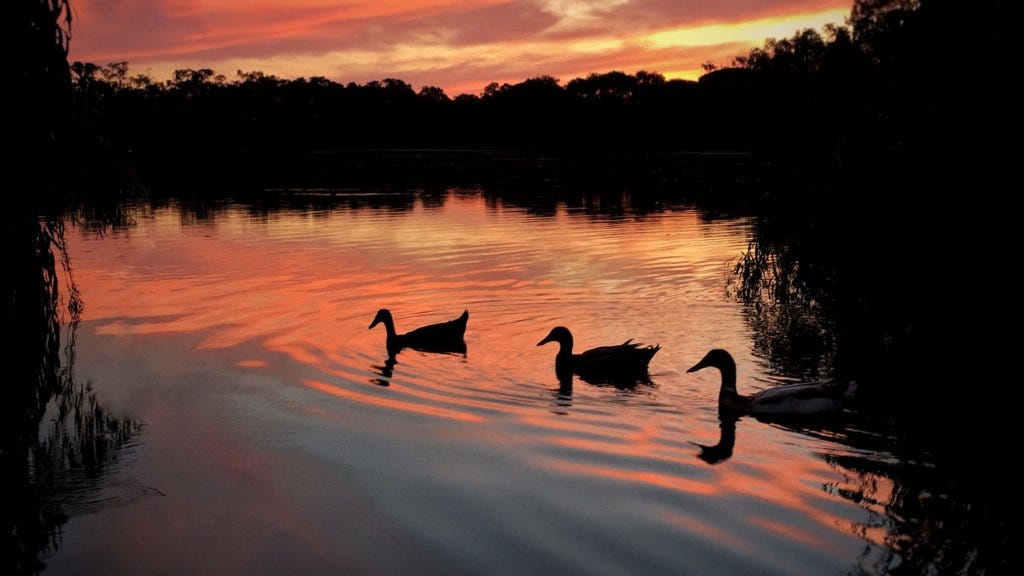 These lighting tips will help you master smartphone photography | by ...