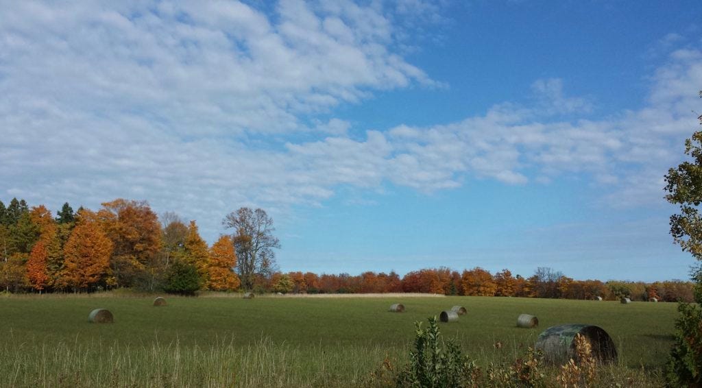The Magic & Charm of Nature | by Pam Parker | Pam Writes | Medium