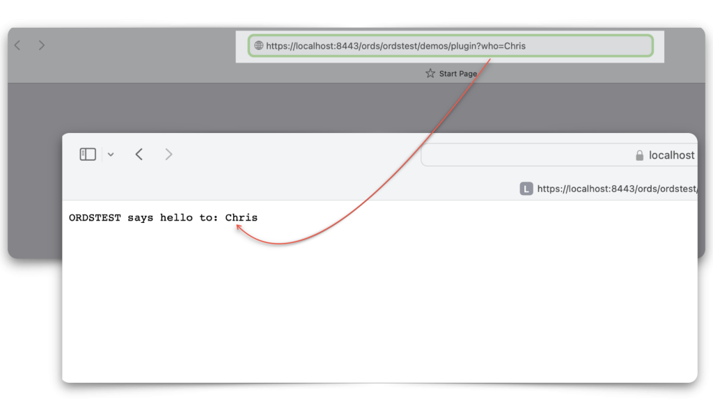 Extending ORDS with a Java plugin | by Chris Hoina | Dev Genius