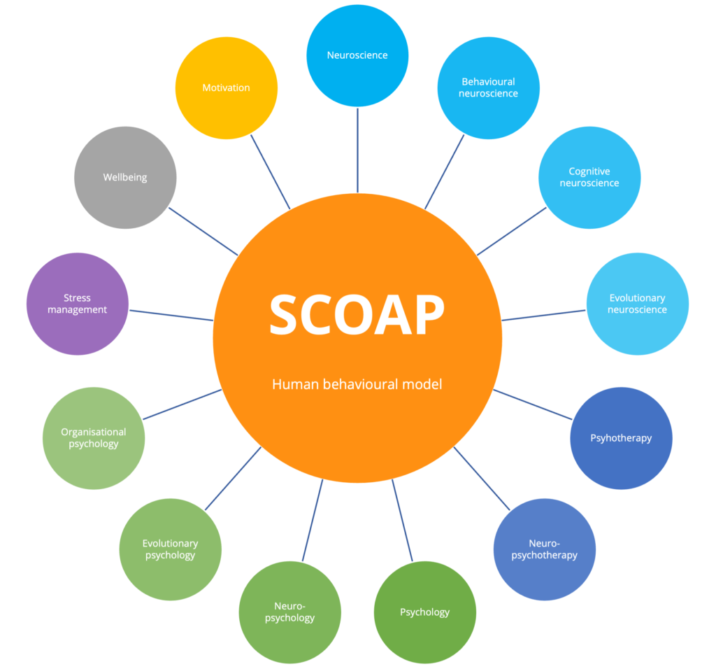A Comprehensive Model of Human Motivation, Behaviour, and Wellbeing ...