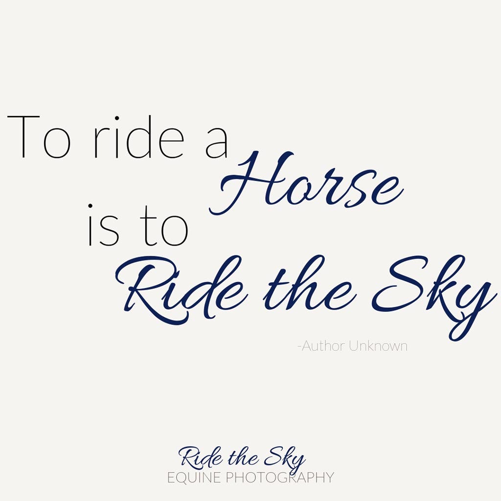 Horse Quotes: Inspiring Words to Celebrate Equine Beauty | by jahid ...