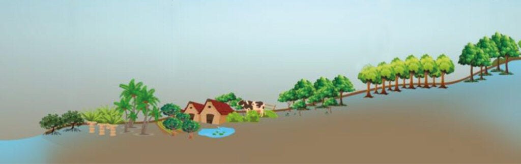 Triharmony/Trilemma of Water Assets in tropical peatland | by Research ...
