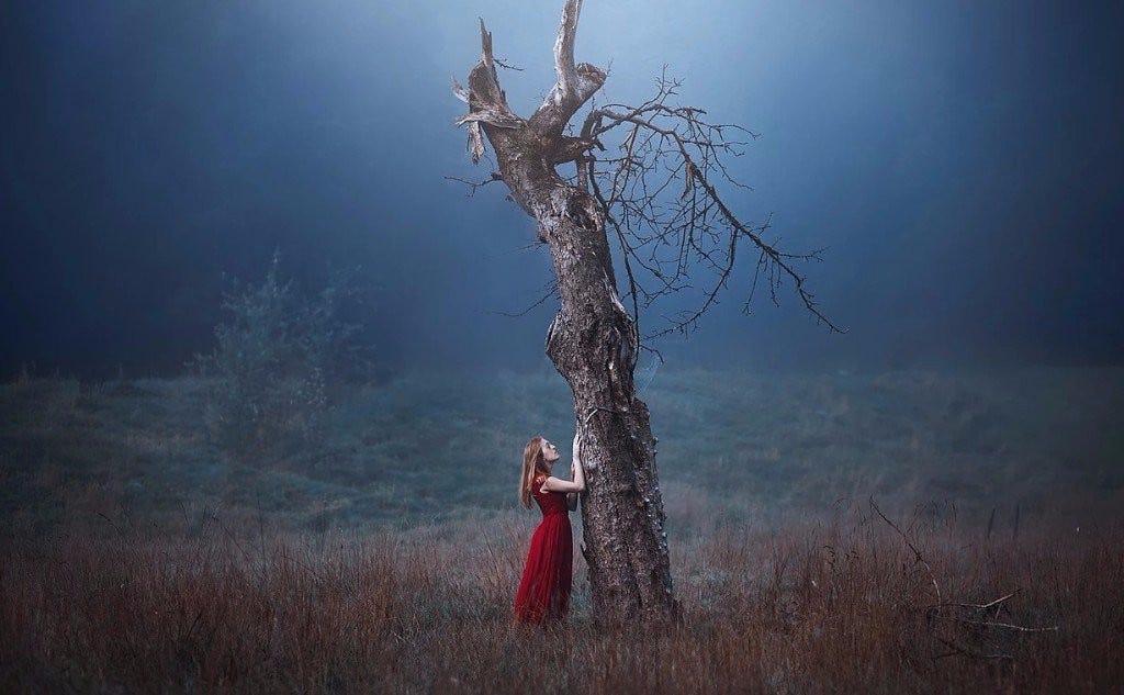 Sadness is Beauty Poem. Sadness is | by Caeli Mckamey | Medium