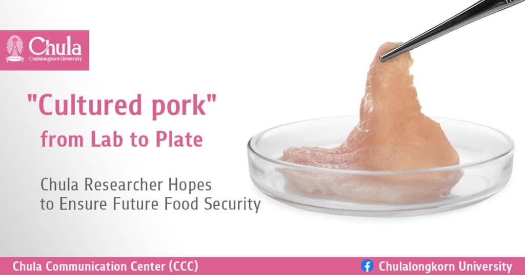 “Cultured Pork” — from Lab to Plate — Chula Researcher Hopes to Ensure ...