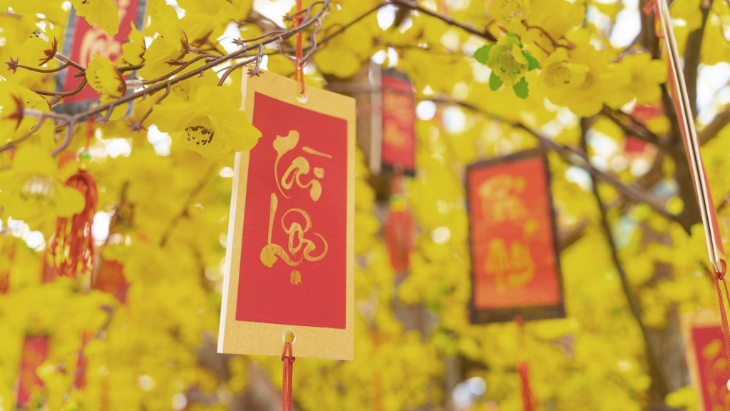 Chapter 5. Pricing Structure. Linear | Partial Tariff | Tiers… | by Chad Jardine | Medium