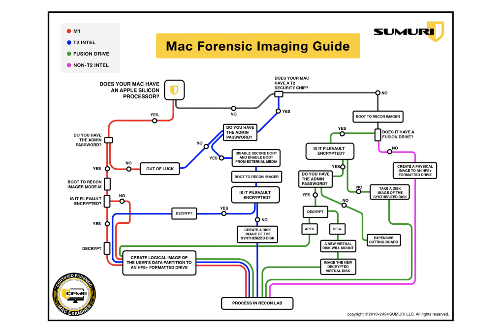 Imaging Guide: Mastering the Art of Perfect Pictures | by Eronitacosta ...