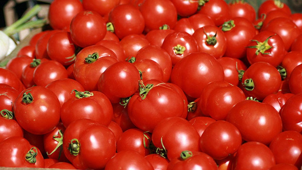 AGRI-FOOD SECTOR OVERVIEW. The Agri-food (processed food and… | by ...