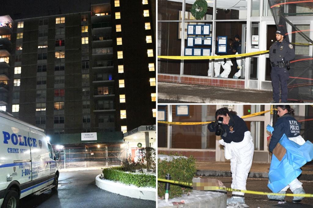 Emily Thompson : Brooklyn Mom Identified as Victim of Fatal Stabbing in ...