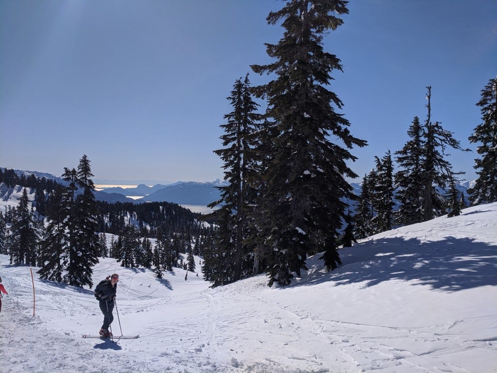 Type 1.5 Fun: Ski Touring near Red Heather Hut | by Melissa Bernstein ...