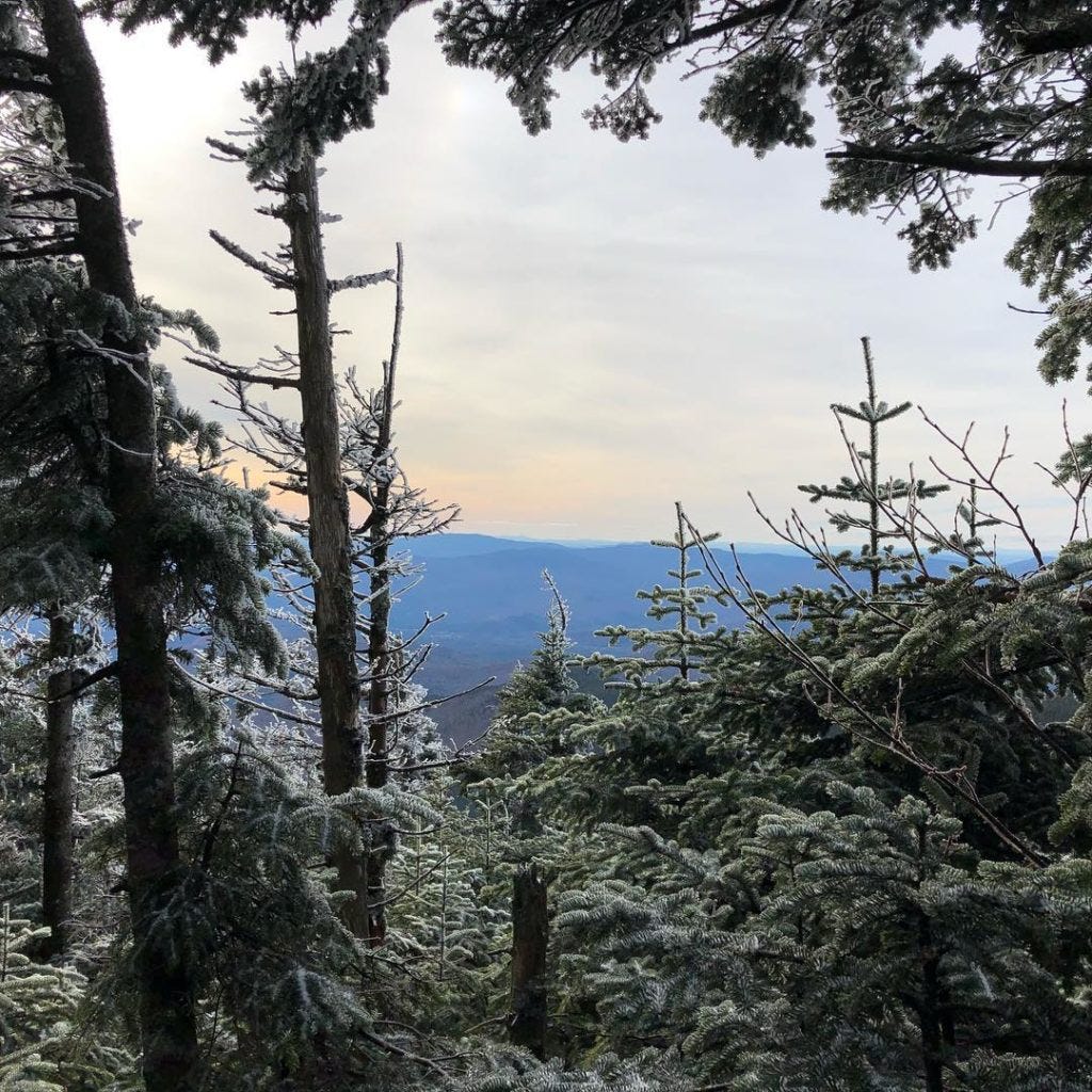 4 Ways Nature’s Magic is Good for Business & Soul | by Maura Webster ...