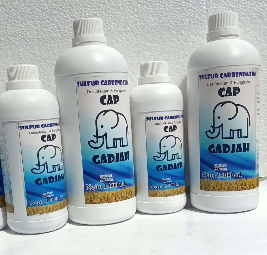 OBAT SEMPROT PENGHILANG BAU AMONIA KANDANG AYAM DESINFEKTAN SULFUR ...