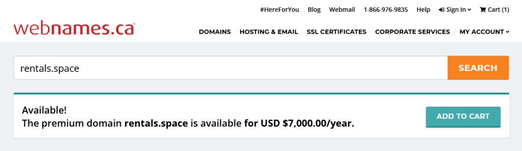 Premium Domain Names — Should You Buy Them for Your Business? | by Webnames | Medium