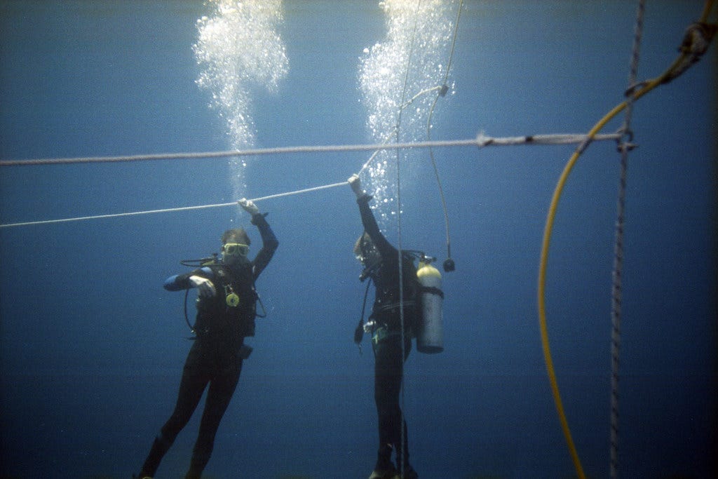 Mastering Dive Safety: Essential Tips for a Worry-Free Dive | by ...