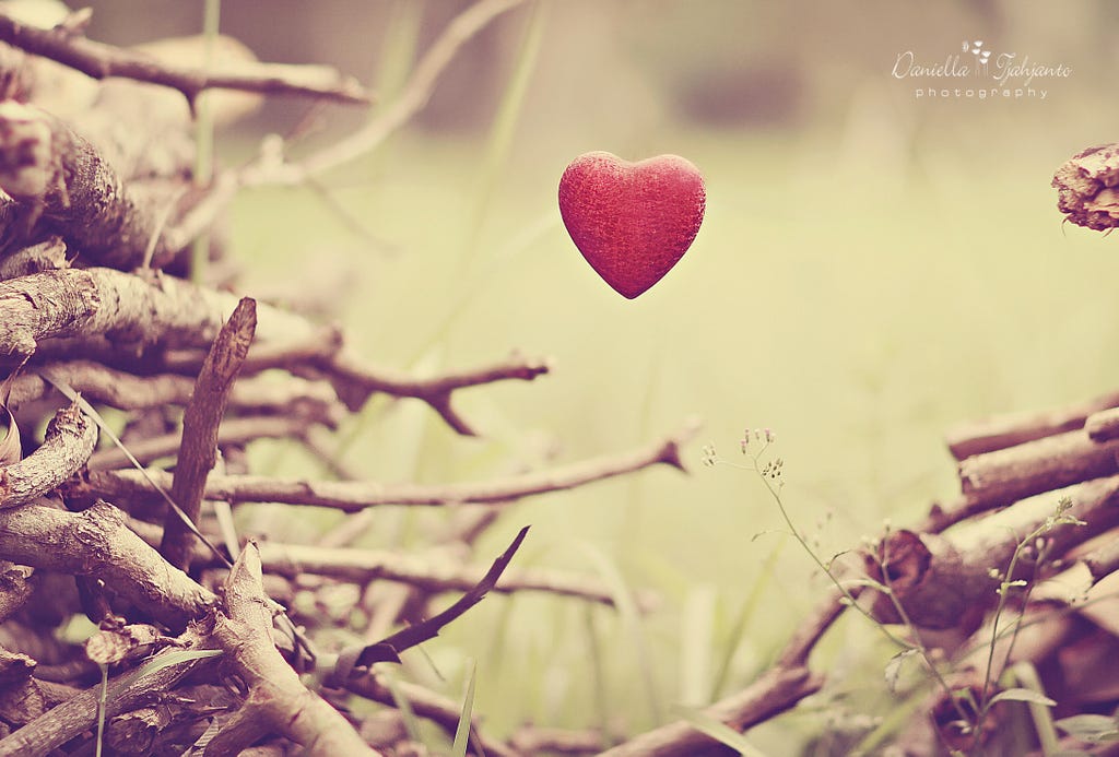 Five Fact About Love. There are two things in this life that… | by ...