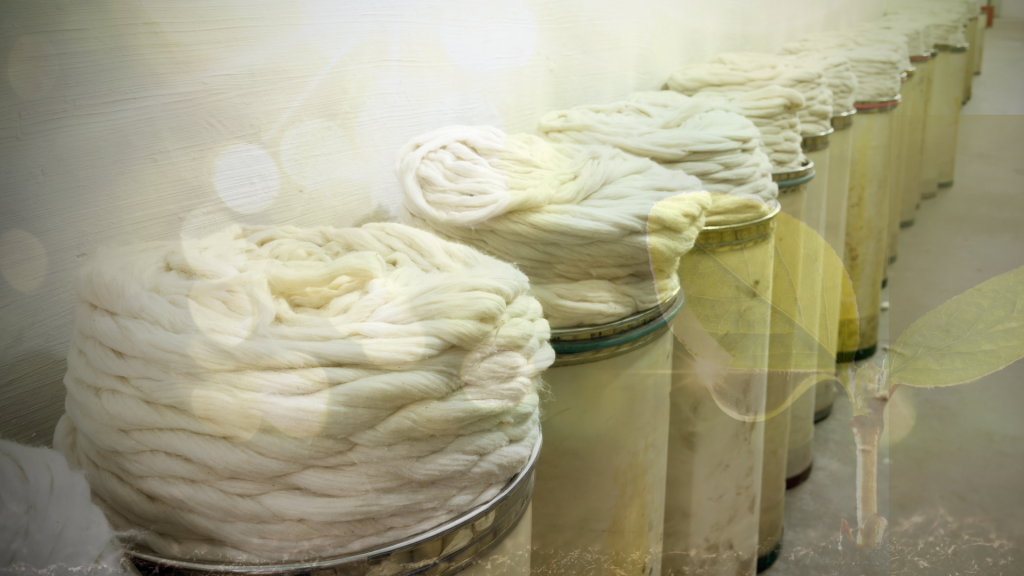 Biomaterials: Sustainability through a Garment’s Life Cycle | by SOSV ...