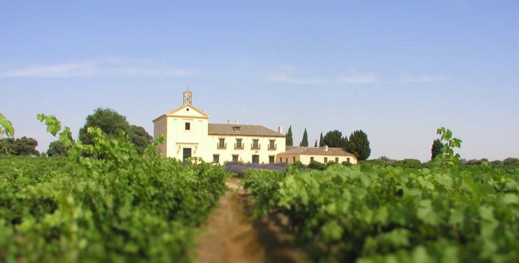 Barcelona Wine Tasting: Vino de Pago | by Fintan Kerr | Medium