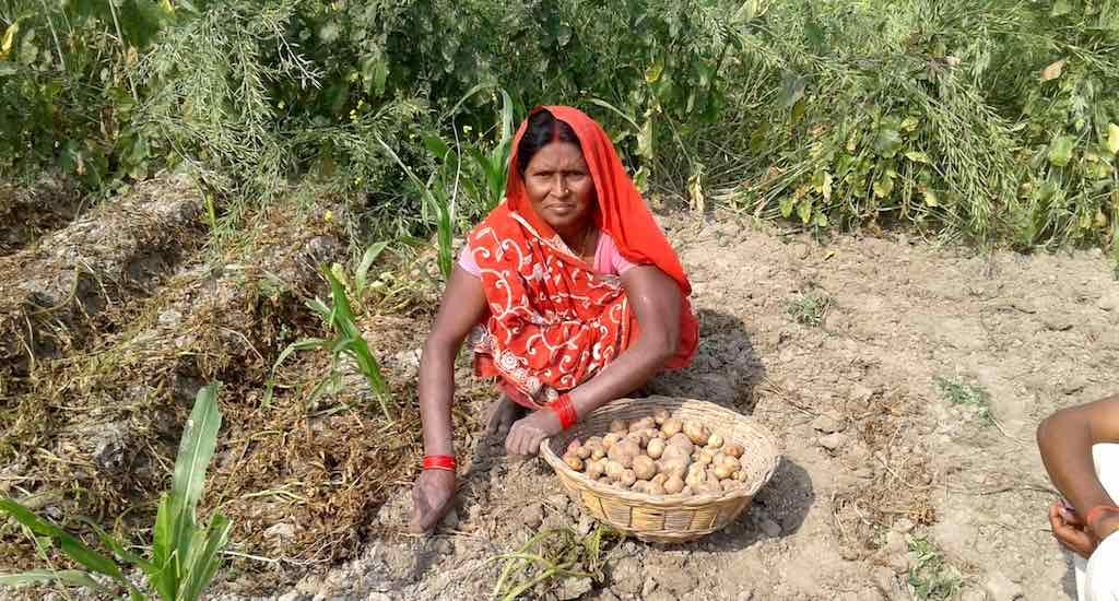 Saran women banish poverty by cultivating vegetables | by TLI Crew ...