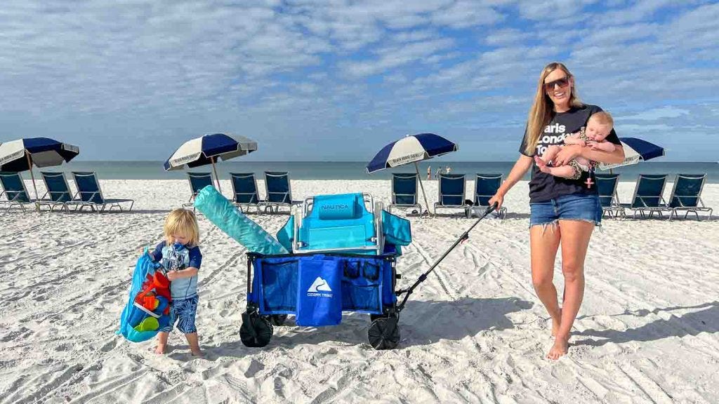 Best Toddler Stroller Wagon: About 10 Things You Didn’t Know | by ...