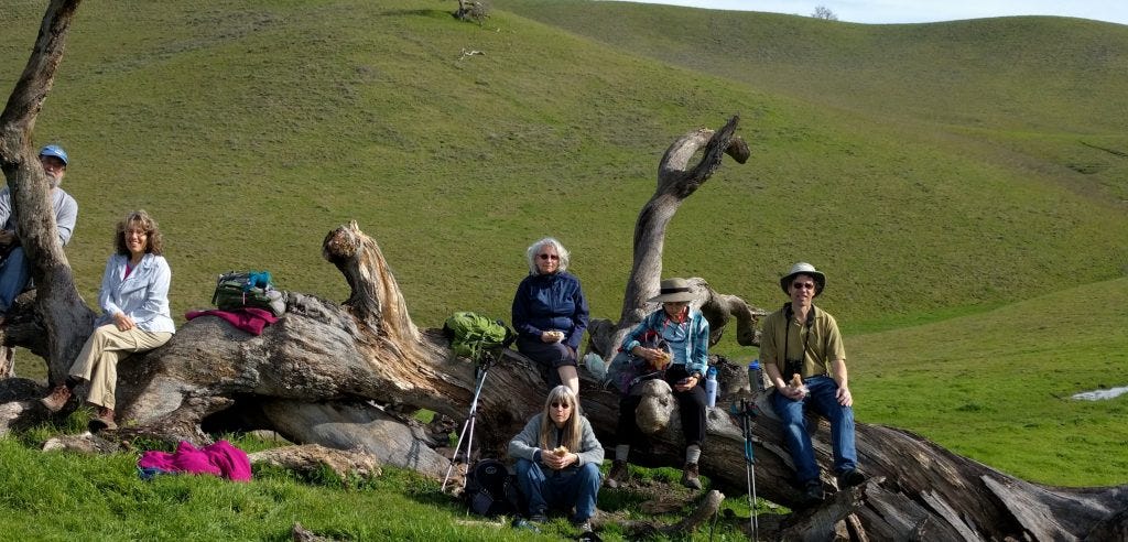 5 to 20 Minutes a Month — Organize Hikes: Walking and Talking | by Alan ...