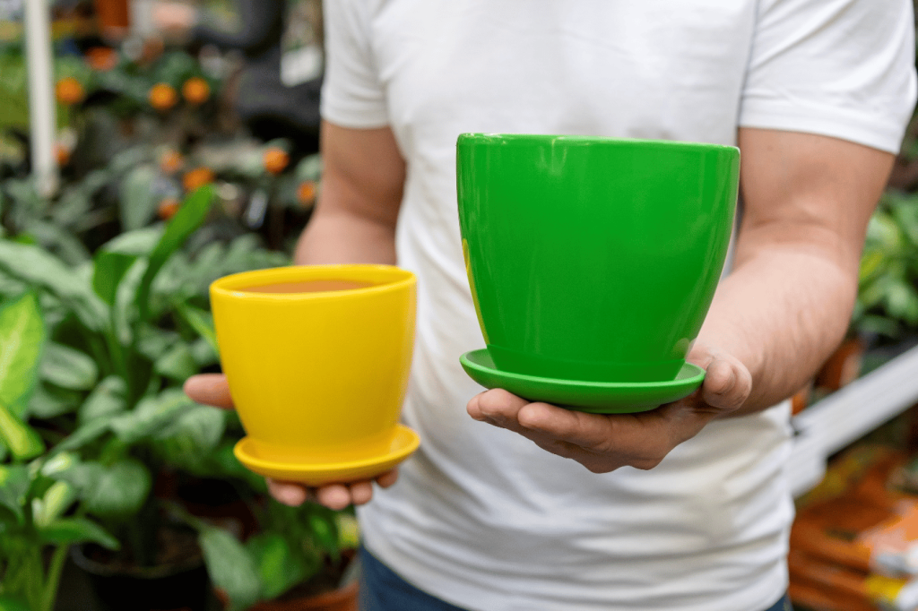 Are Ceramic Pots Good for Plants? Ceramic Vs Plastic & Fabric | by ...