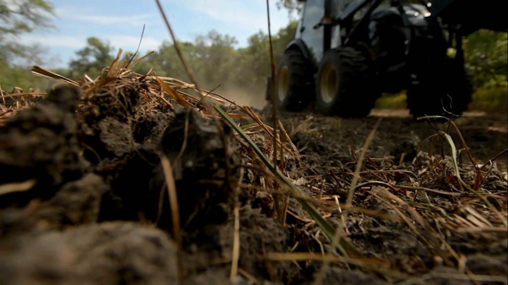 Food Plots: Proactive Land Management | by StoneRoadMedia | Medium