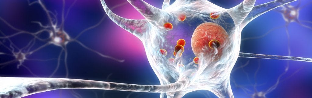 Thermodynamic modelling of dynamic cell phenotypes | by Research ...