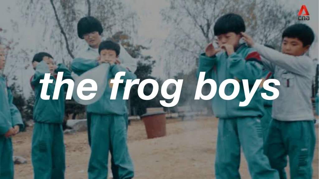 The Lost Kids Who Never Came Back Home — The Frog Boys Mystery | by L ...
