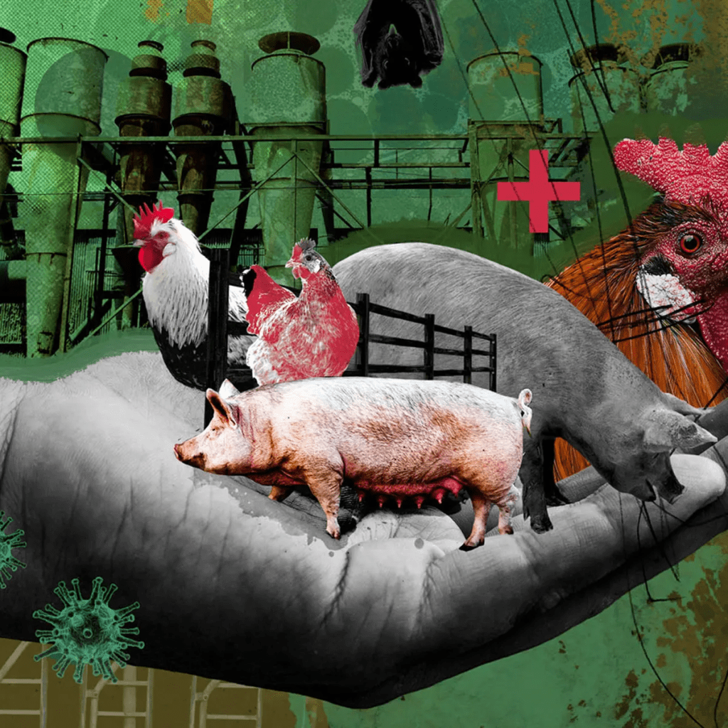 The Dark Side of Our Dinner Plates: The Hidden Cruelty Behind Factory ...