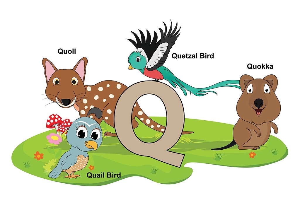 Animals That Start With Q: Quirky & Quaint Creatures Unveiled | by Alex ...