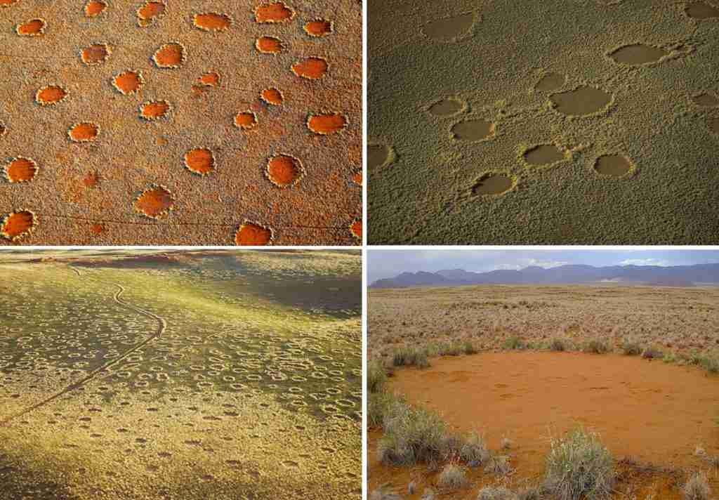 Fairy Circles: Enigmatic Patterns in the Desert | by The Unexplained ...
