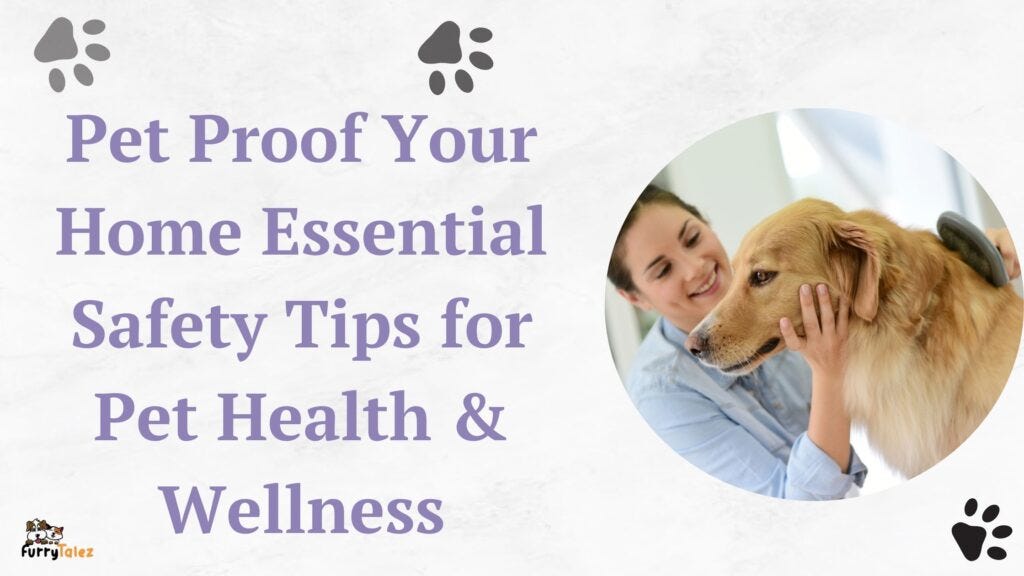 Pet Proof Your Home Essential Safety Tips for Pet Health & Wellness ...
