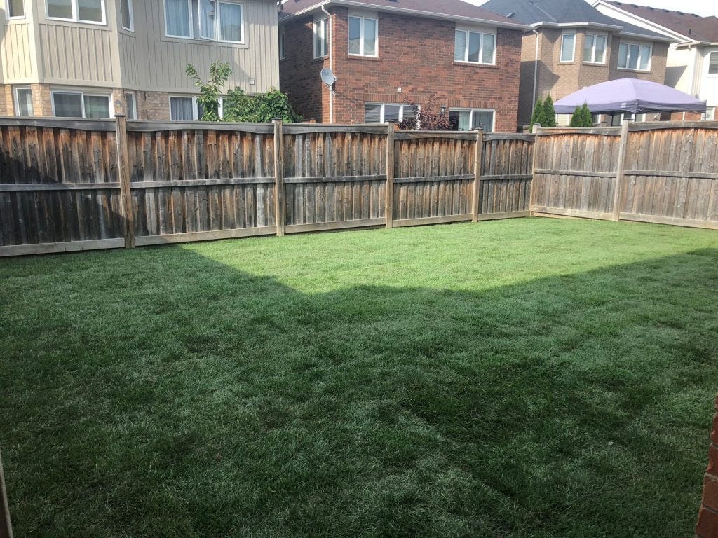 How To Prepare Your Lawn For New Sod Grass Installation By My