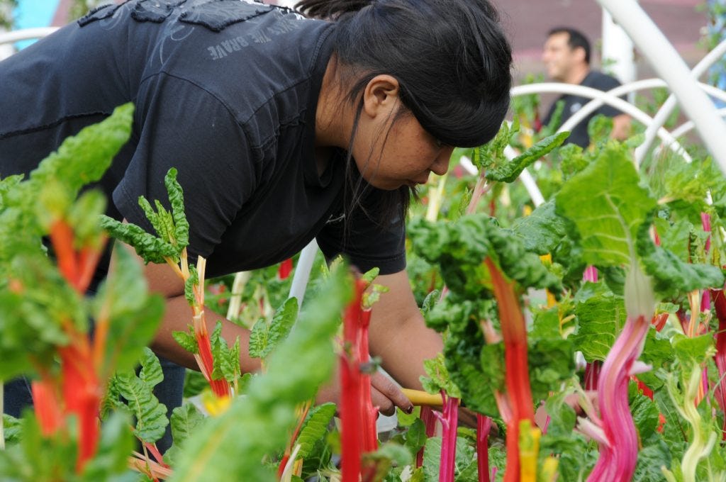 The First Great Crop of Skid Row. It’s a big day, our first large ...