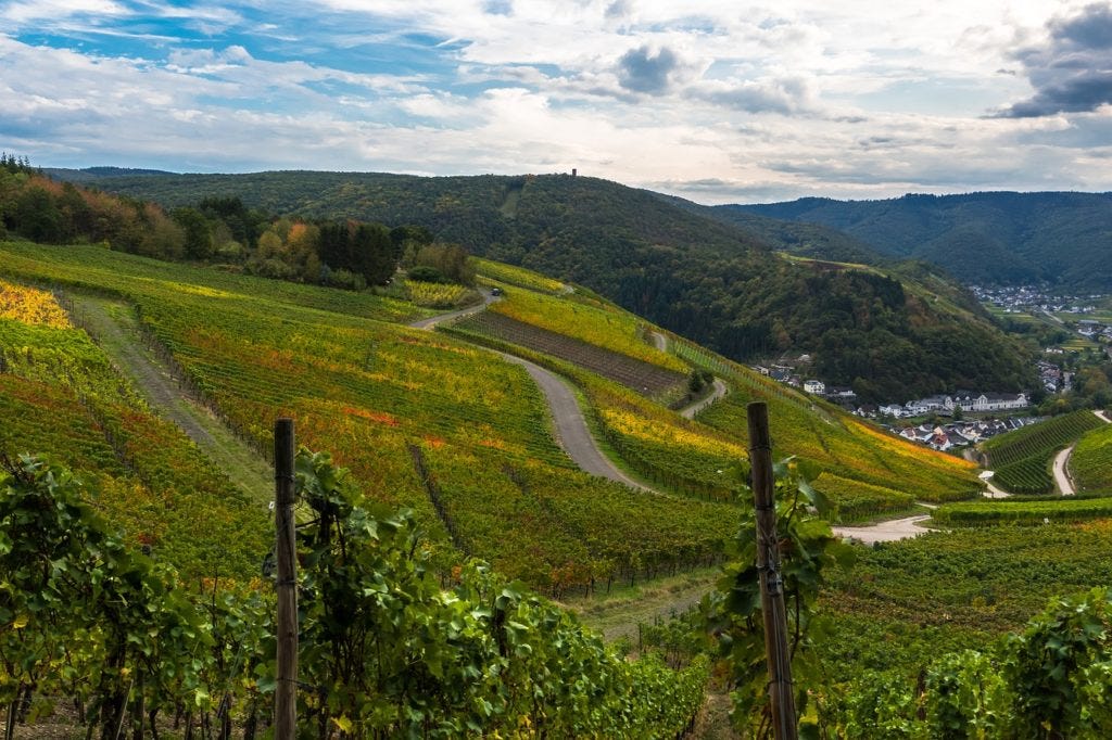 A Guide To The Wine Region of Palatinate In Germany | by Samuel ...