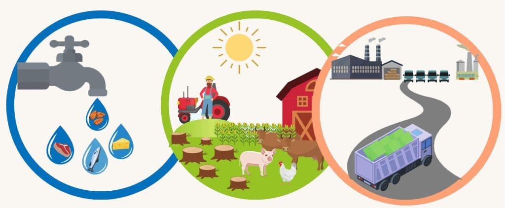 Why Your Food Choices Matter for the Environment - Factory Farms - Medium