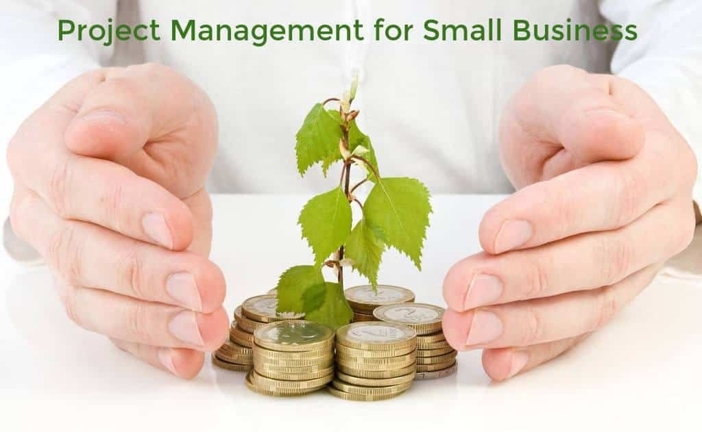 Small Business Project Management | by David Turner | Sep, 2024 | Medium
