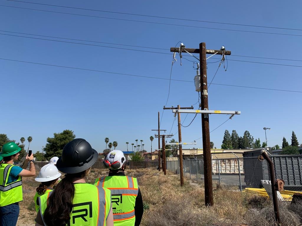 Ensure following point before Hire a Tree Care Service | by Rancho Tree ...
