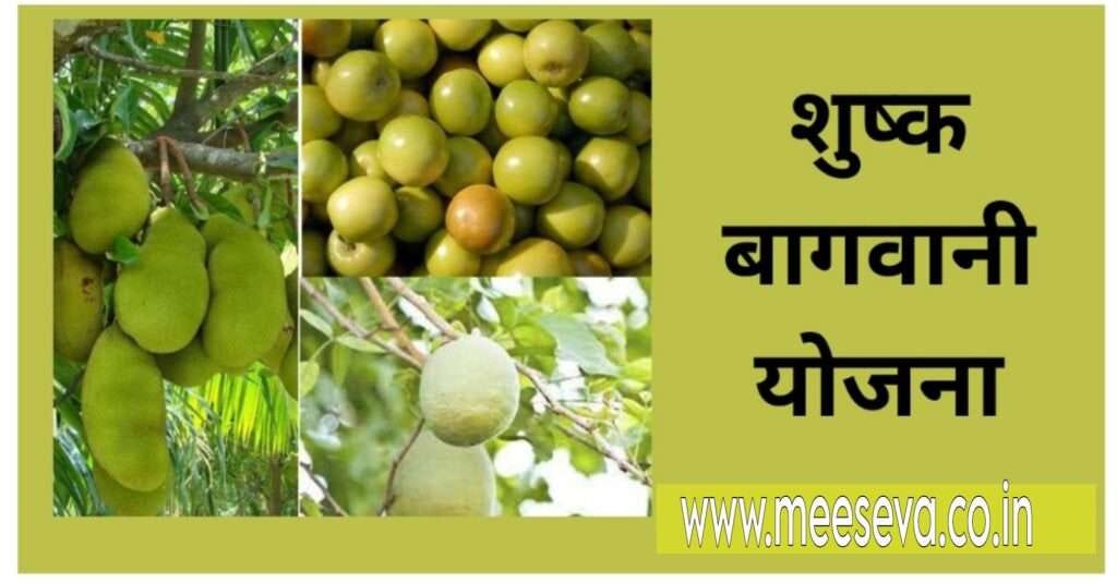 Shushuk Bhagwani Yojana 2023:Apply Online,Check list Name | by Meeseva ...
