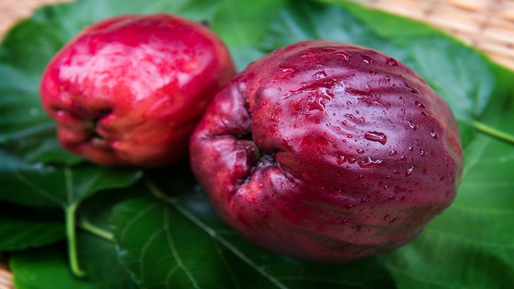 Introducing Jamaican Otaheite Apple — A Unique Fruit with Rich Flavor ...