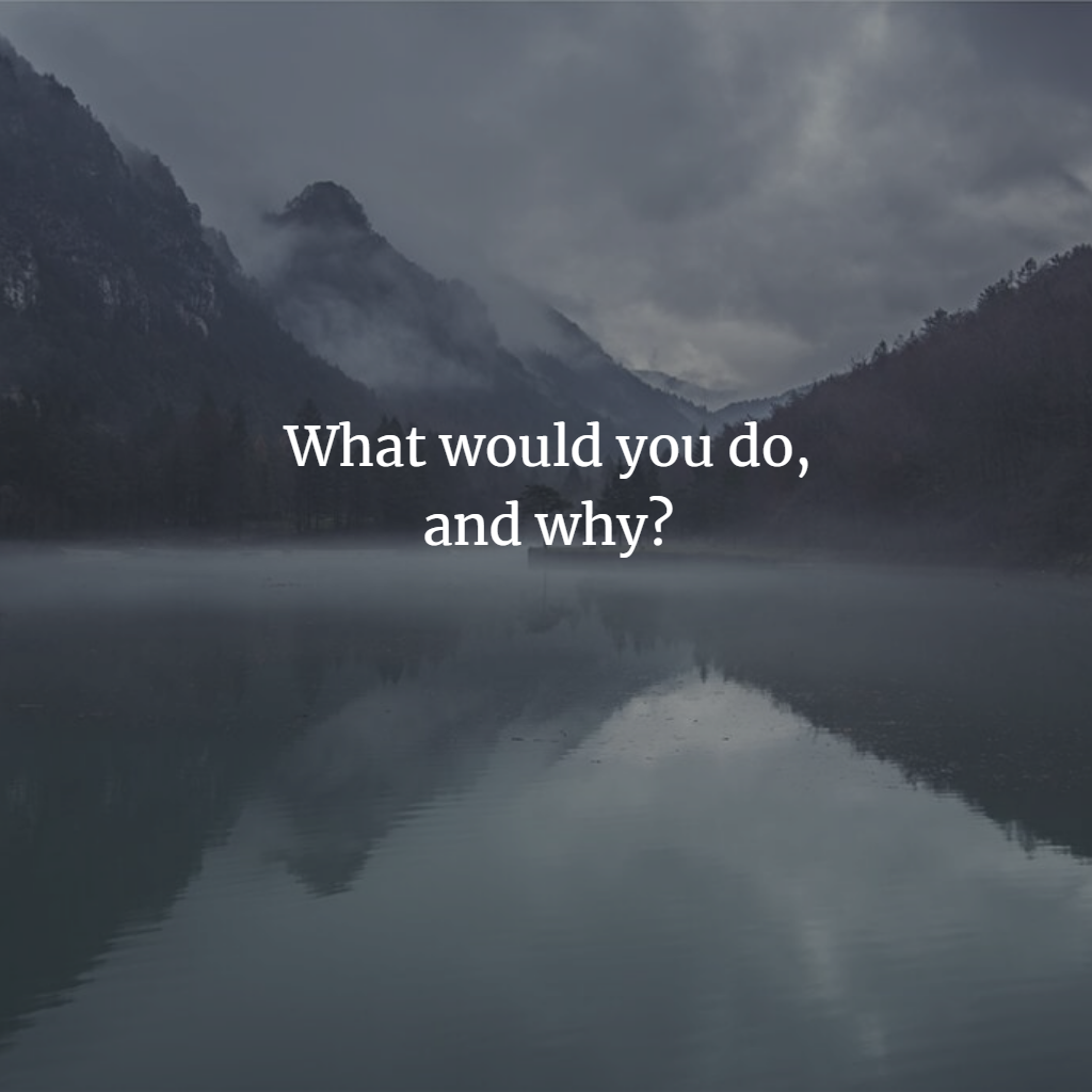 Magic Question: “What would you do, and why?” | by Alexander Vuylsteke ...