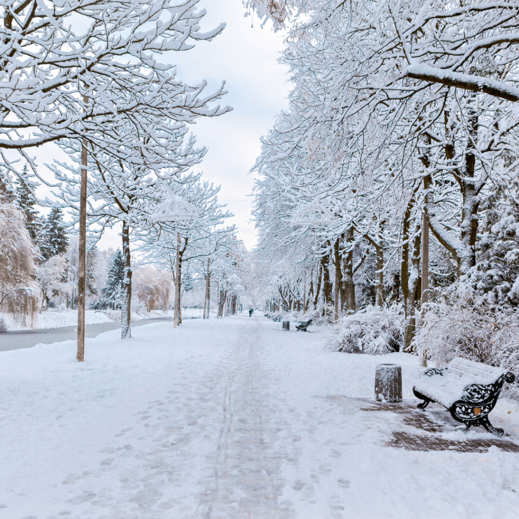Winter Arc: A New Social Media Trend — How to Stay Ahead All Year Round ...