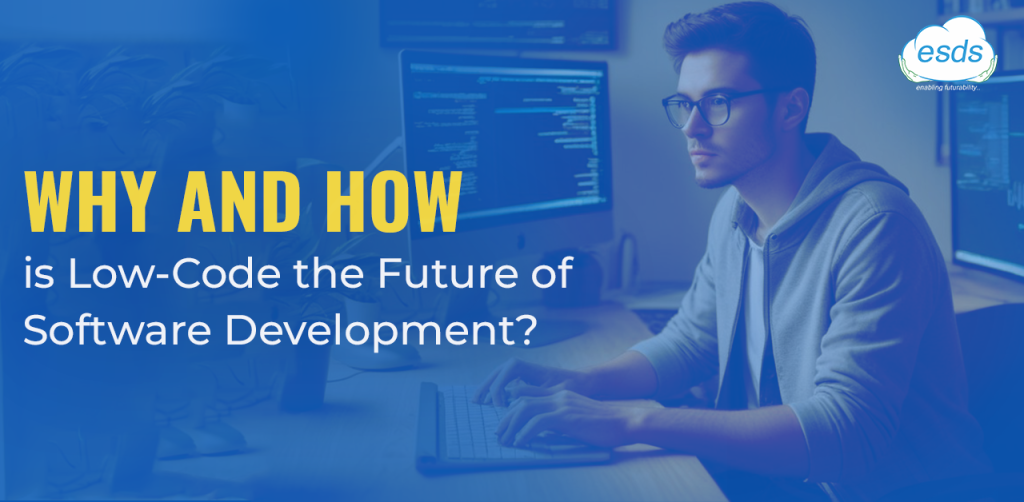 Why and How is Low-Code the Future of Software Development? | by Low ...