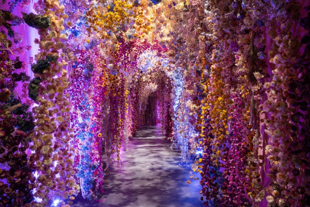 The Art of Connection: Why Museums Need a Human-Centered Approach | by ...